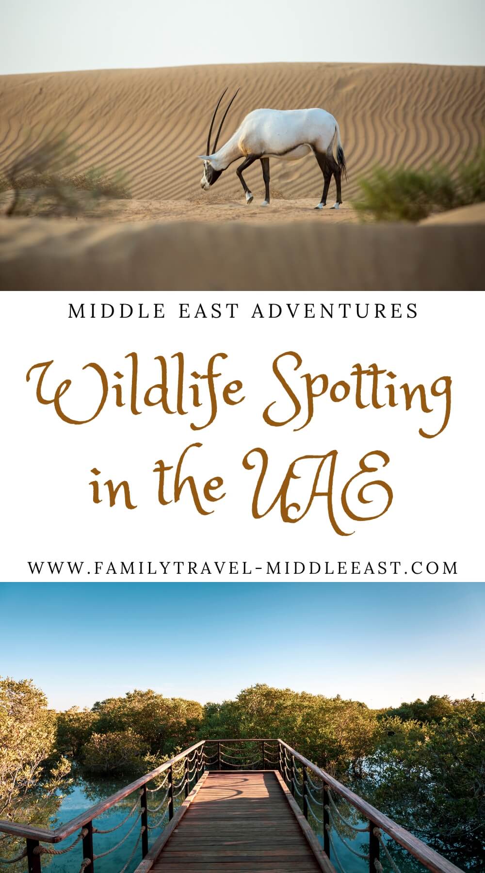 Meet the Animals of the UAE: Nature Reserves and Wildlife Hotspots